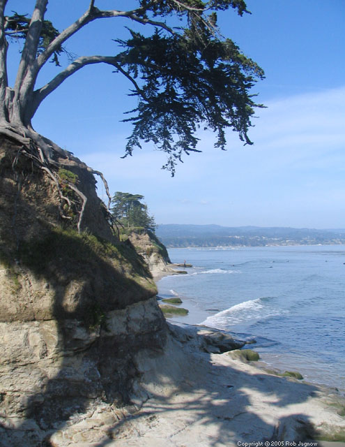 Pleasure Point | Deb's Beach Blog - California R.E. Perspectives